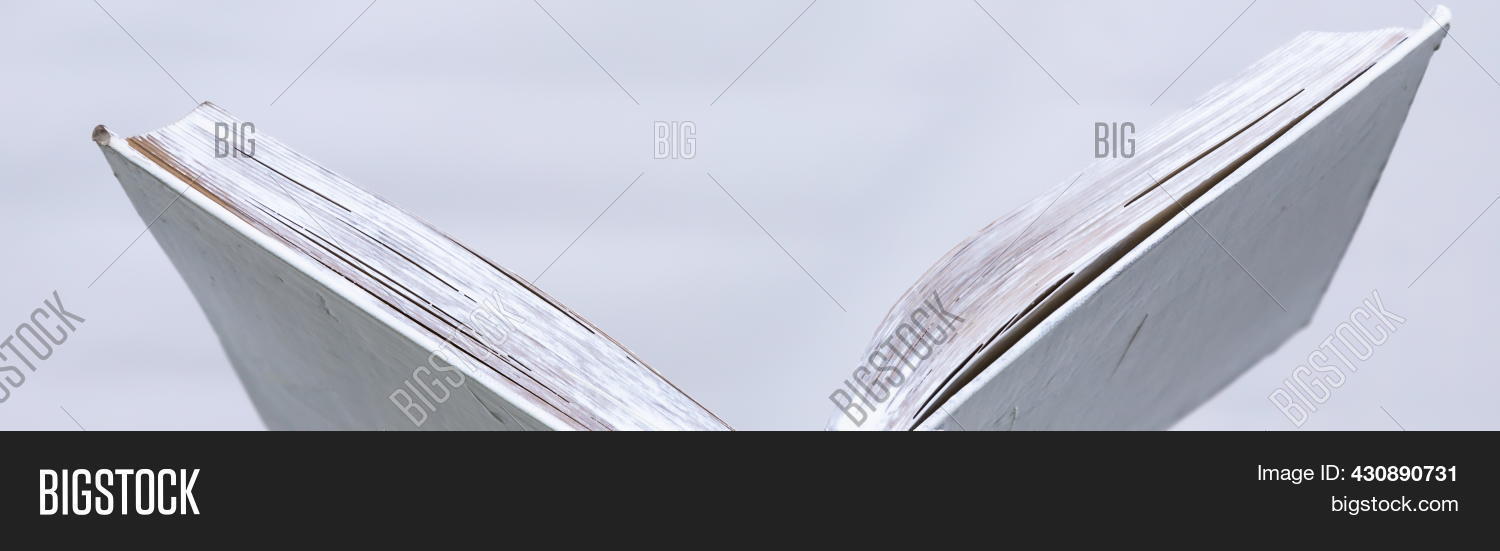 Blank White Open Book Image & Photo (Free Trial) | Bigstock