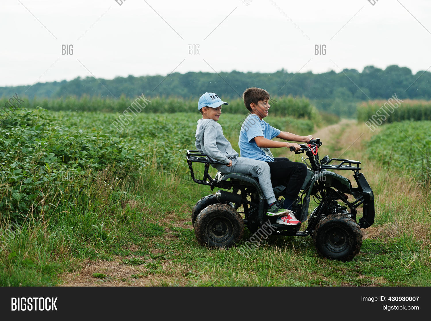 Two Brothers Driving Image & Photo (Free Trial) | Bigstock