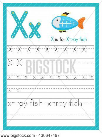 Trace Letter X Vector & Photo (Free Trial) | Bigstock