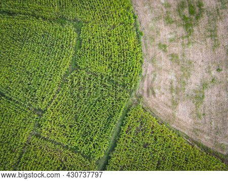 Aerial View Field Image & Photo (Free Trial) | Bigstock