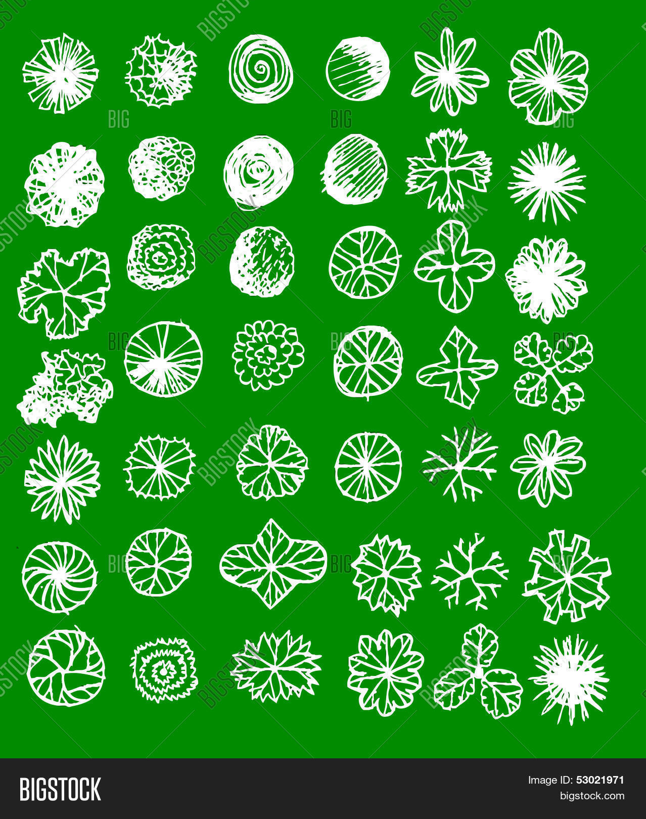 Trees Top View Vector & Photo (Free Trial) | Bigstock
