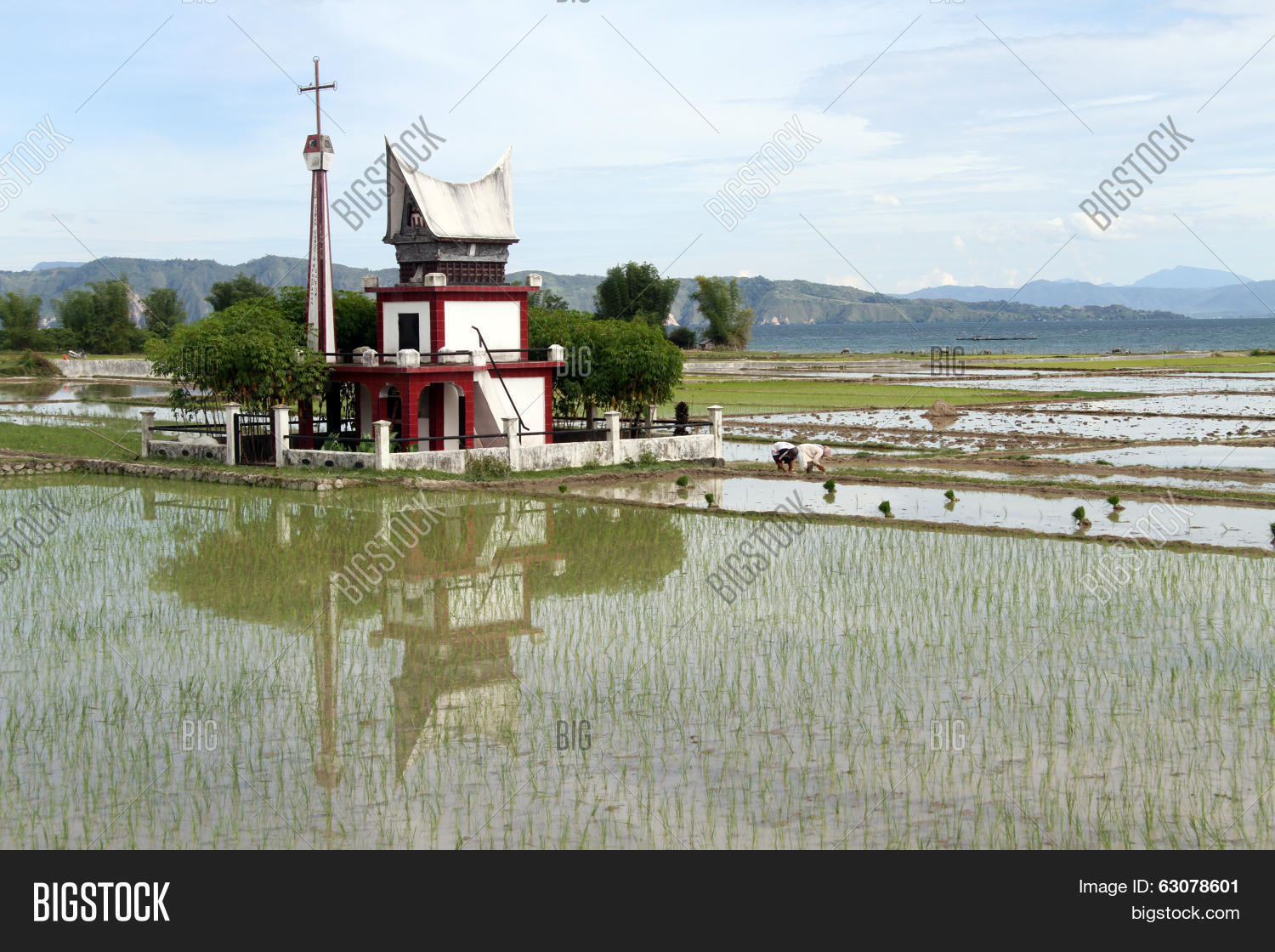 Batak Grave Rice Image & Photo (Free Trial) | Bigstock