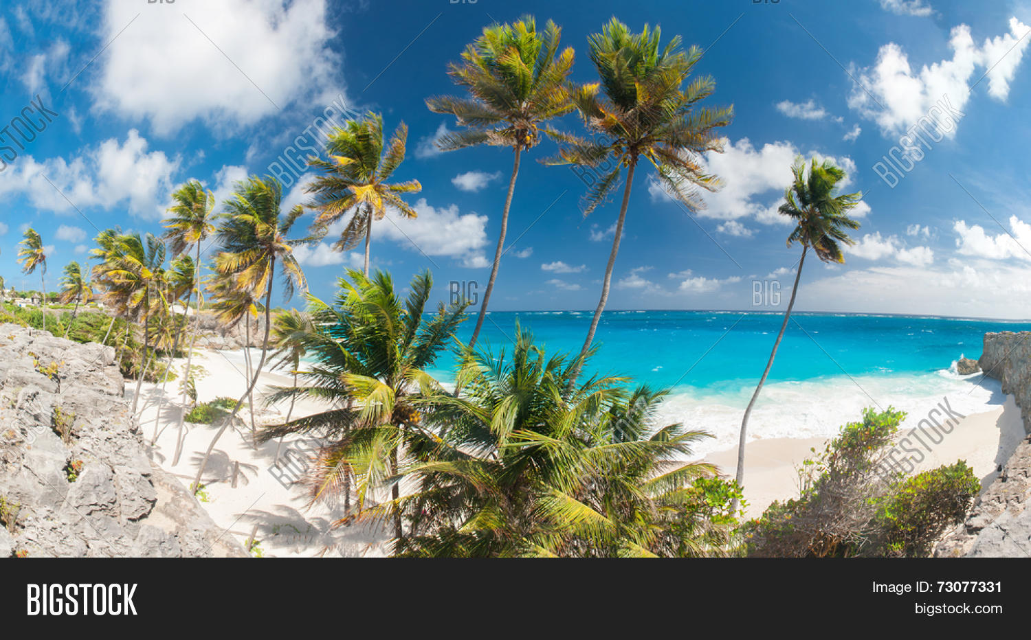 Bottom Bay One Most Image & Photo (Free Trial) | Bigstock
