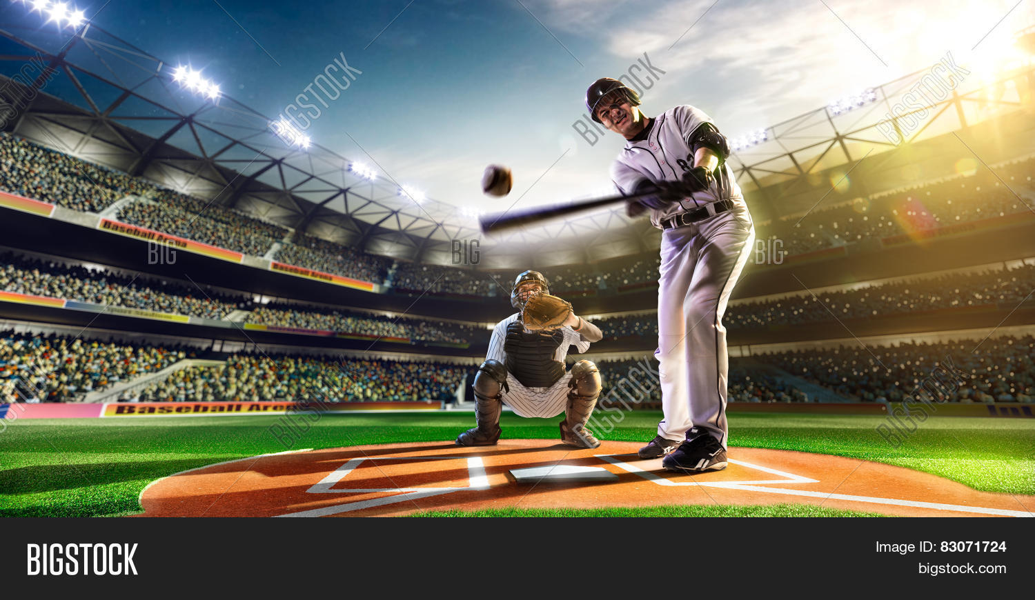 Professional Baseball Image & Photo (Free Trial) | Bigstock