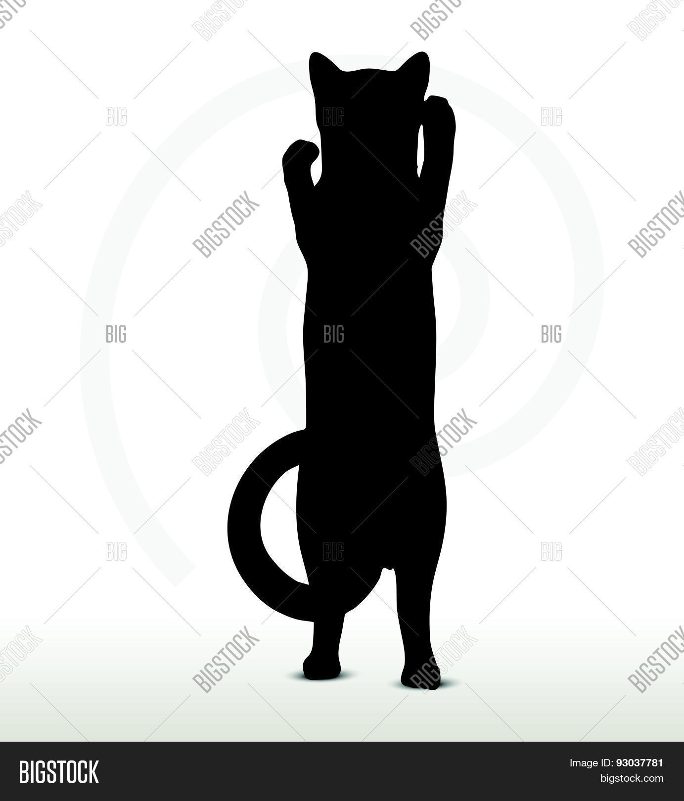 Cat Silhouette Boxing Vector & Photo (Free Trial) | Bigstock