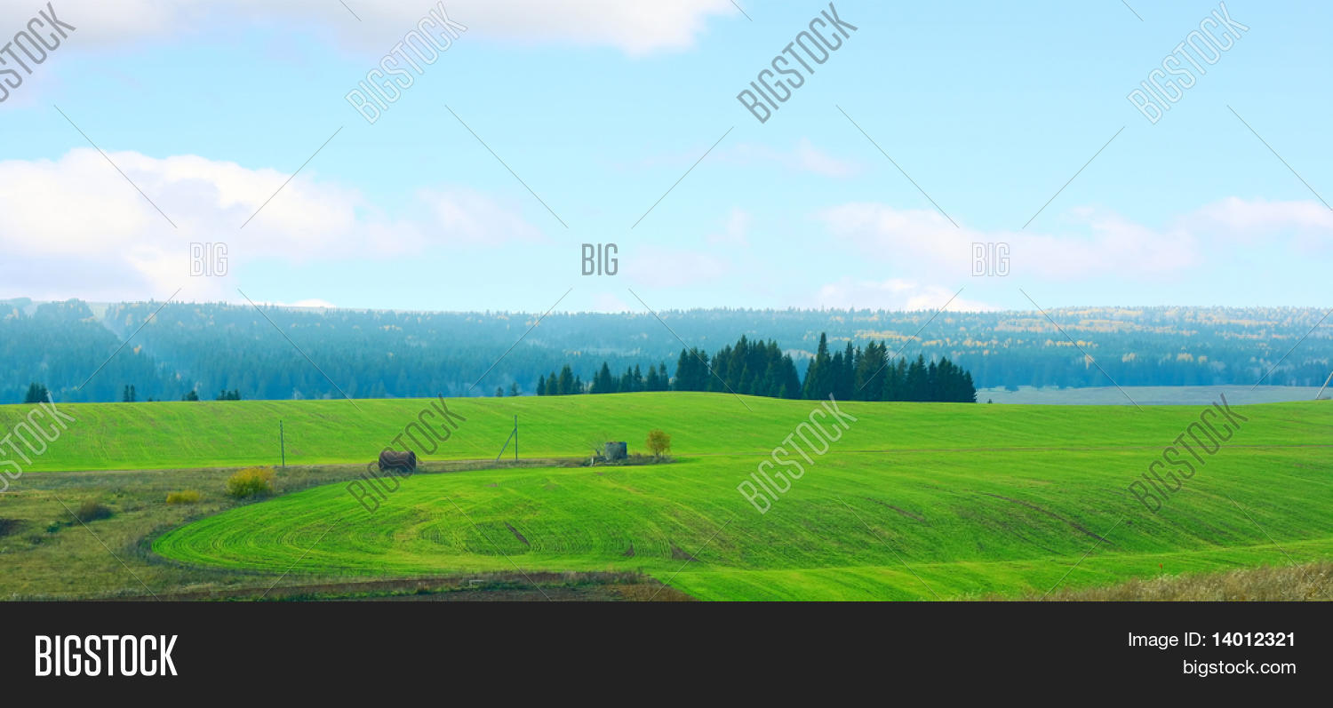 Wide Meadow Green Image & Photo (Free Trial) | Bigstock