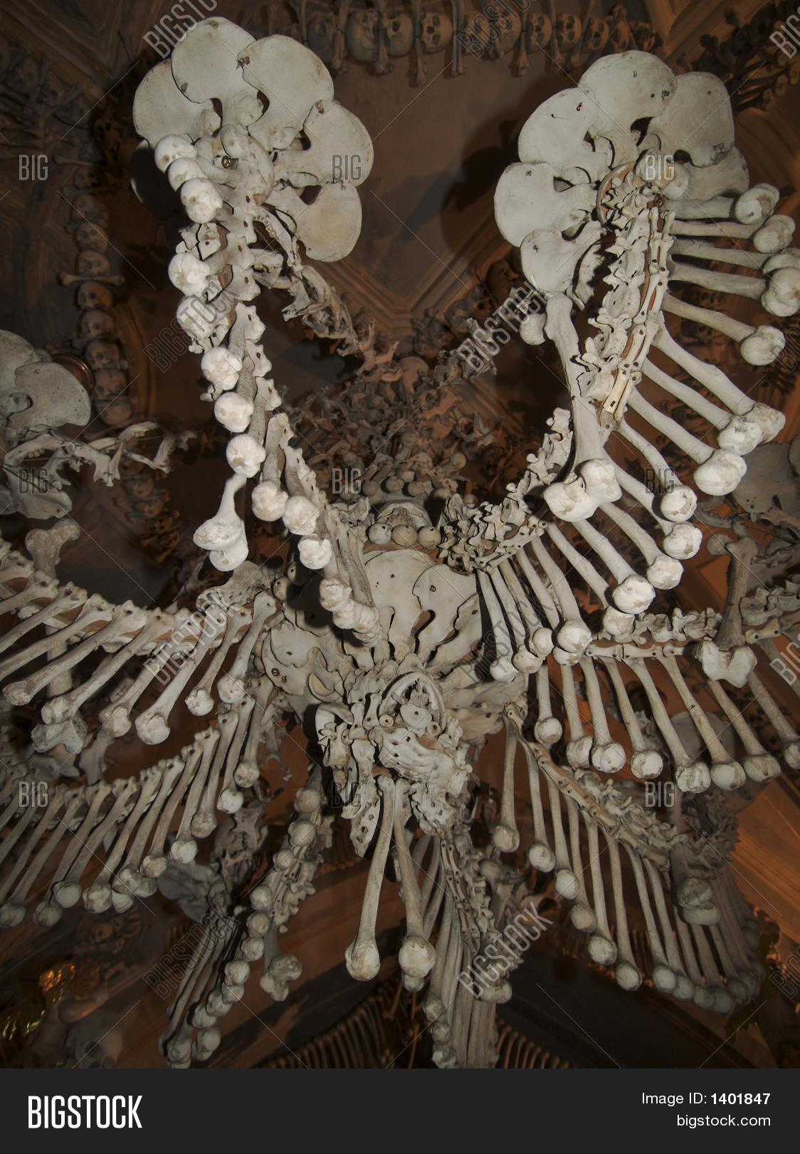Bone Church Ceiling Image & Photo (Free Trial) | Bigstock