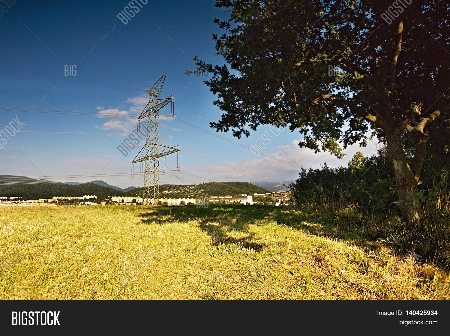 Pylon Big Tree Image & Photo (Free Trial) | Bigstock