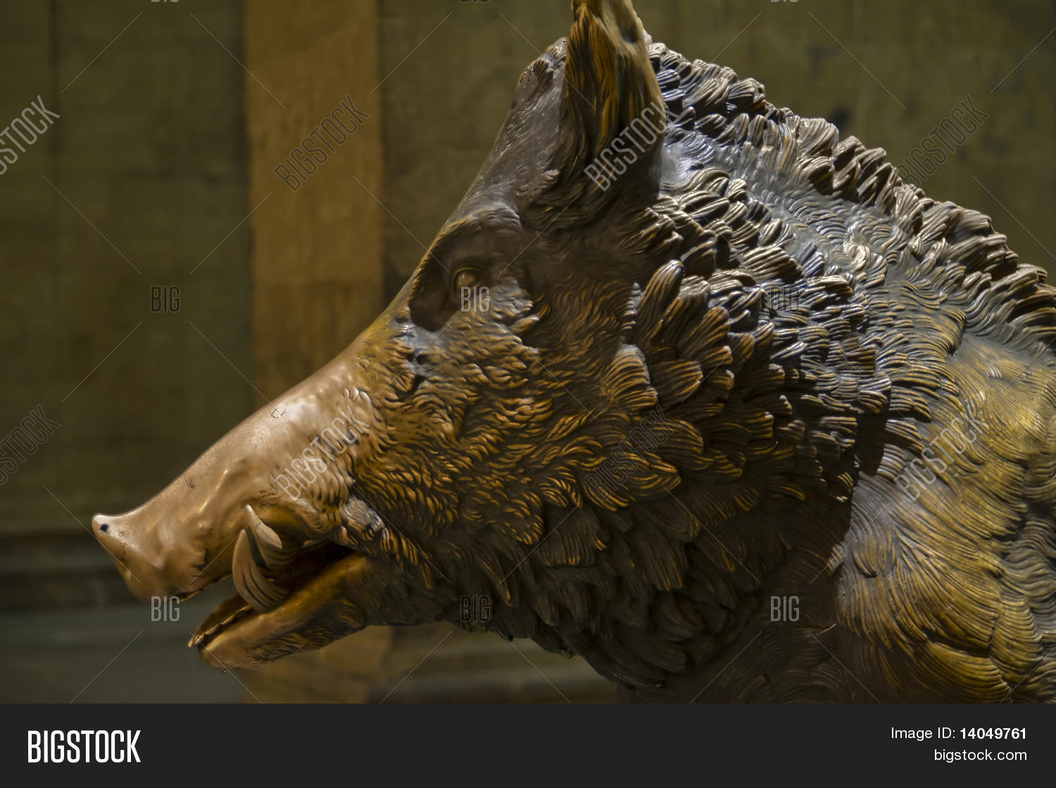 Florence Lucky Boar Image & Photo (Free Trial) | Bigstock