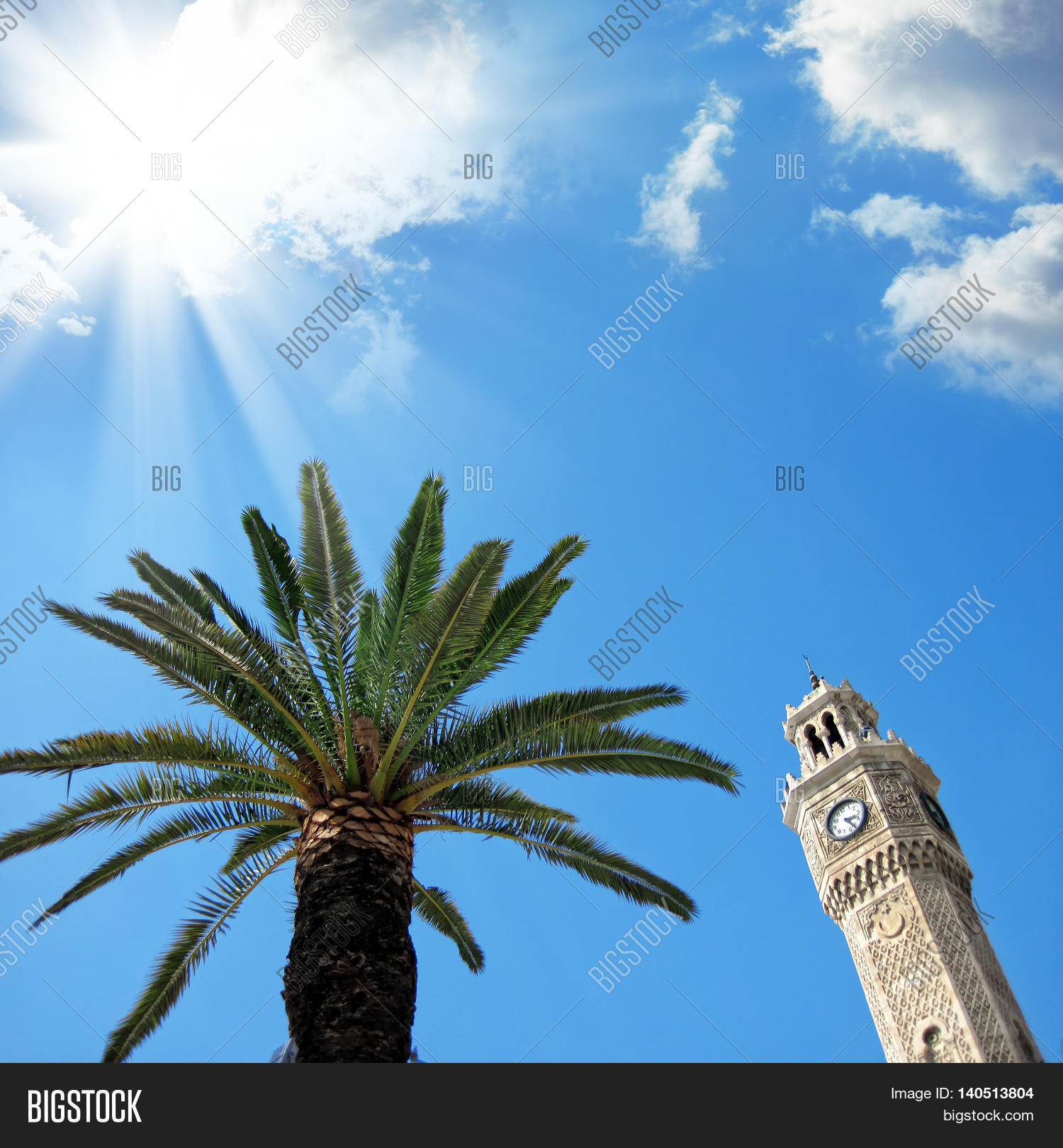 Clock Tower Palm Tree Image & Photo (Free Trial) | Bigstock