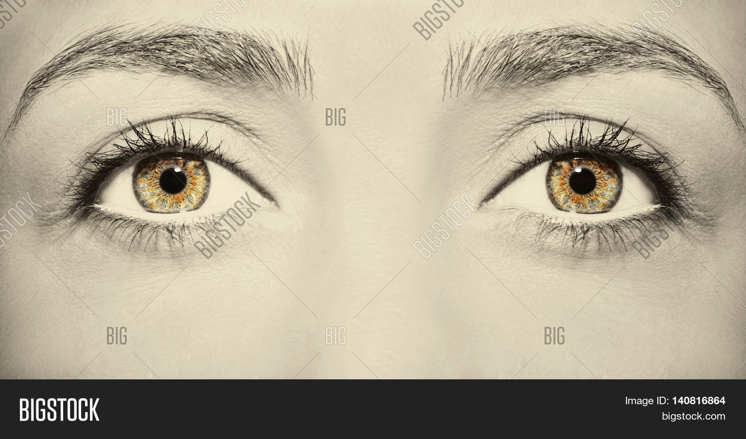 Beautiful Insightful Image & Photo (Free Trial) | Bigstock