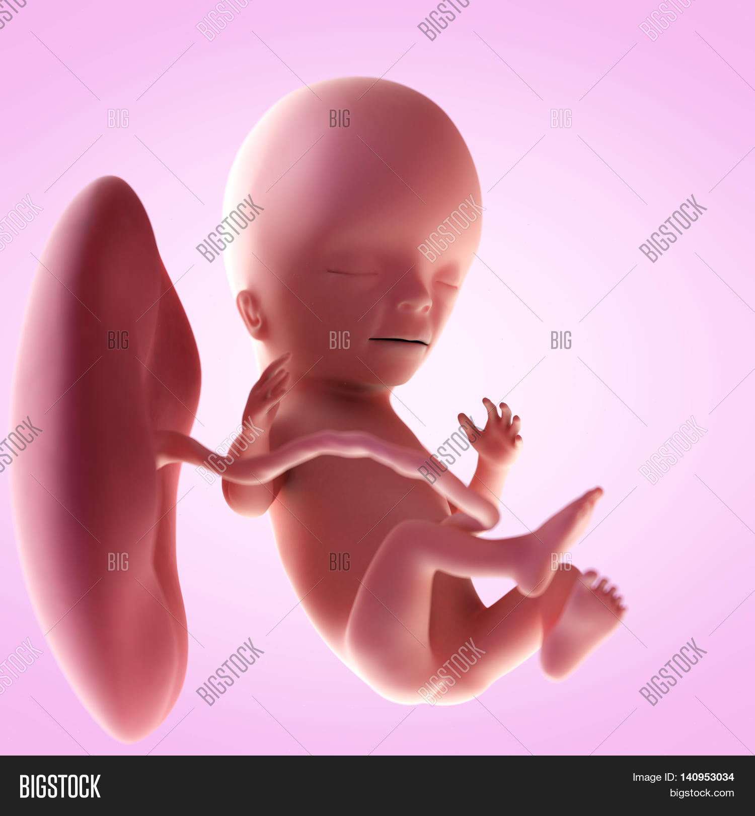 3d Rendered Medically Image & Photo (Free Trial) | Bigstock