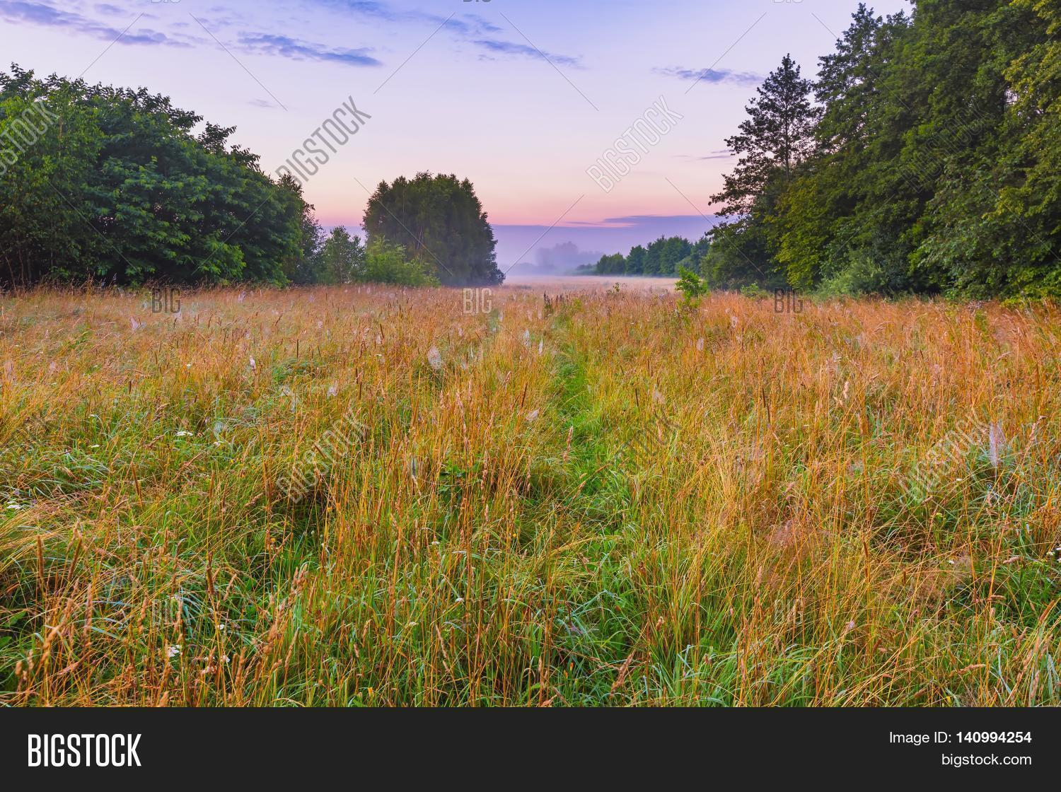 Vibrant Landscape Image & Photo (Free Trial) | Bigstock