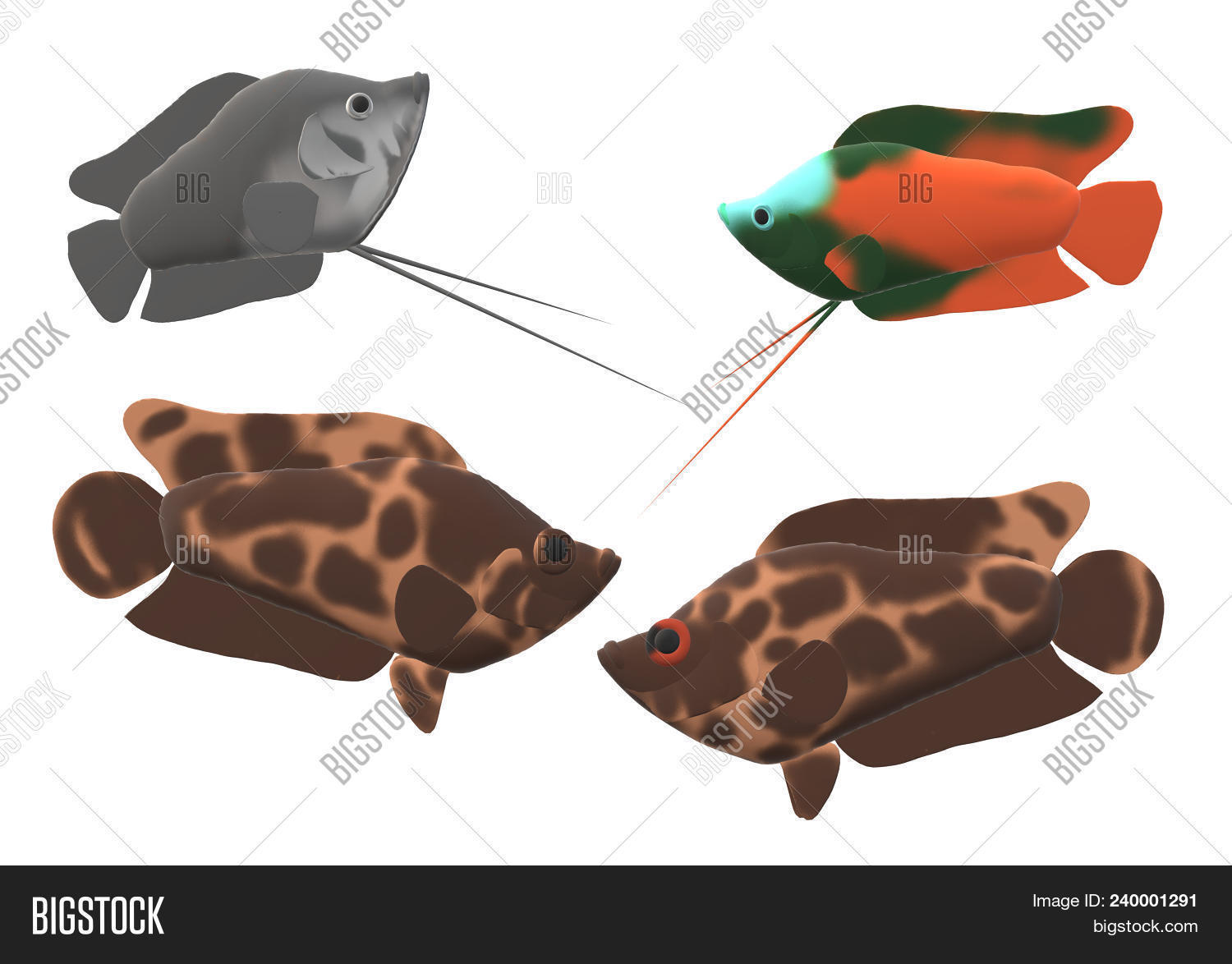 Pair Leopard Bush Fish Image & Photo (Free Trial) | Bigstock