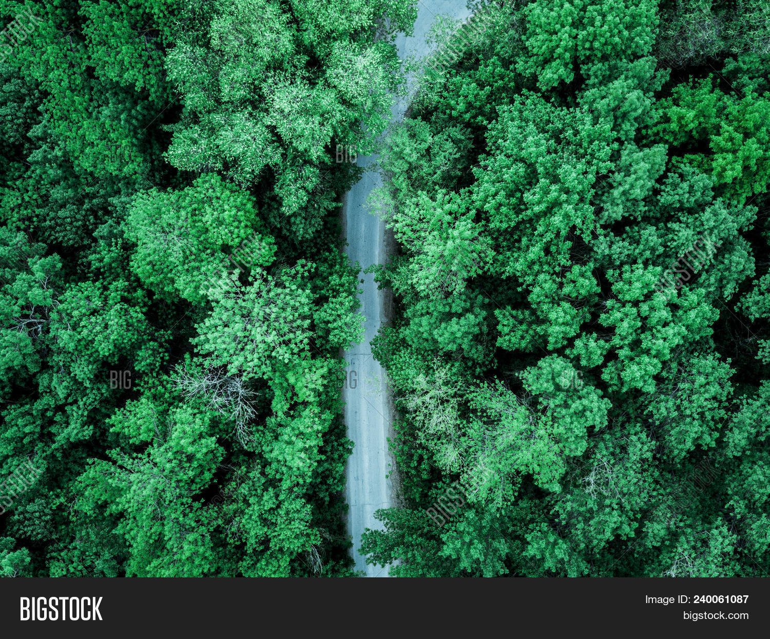 Aerial Top Down View Image & Photo (Free Trial) | Bigstock