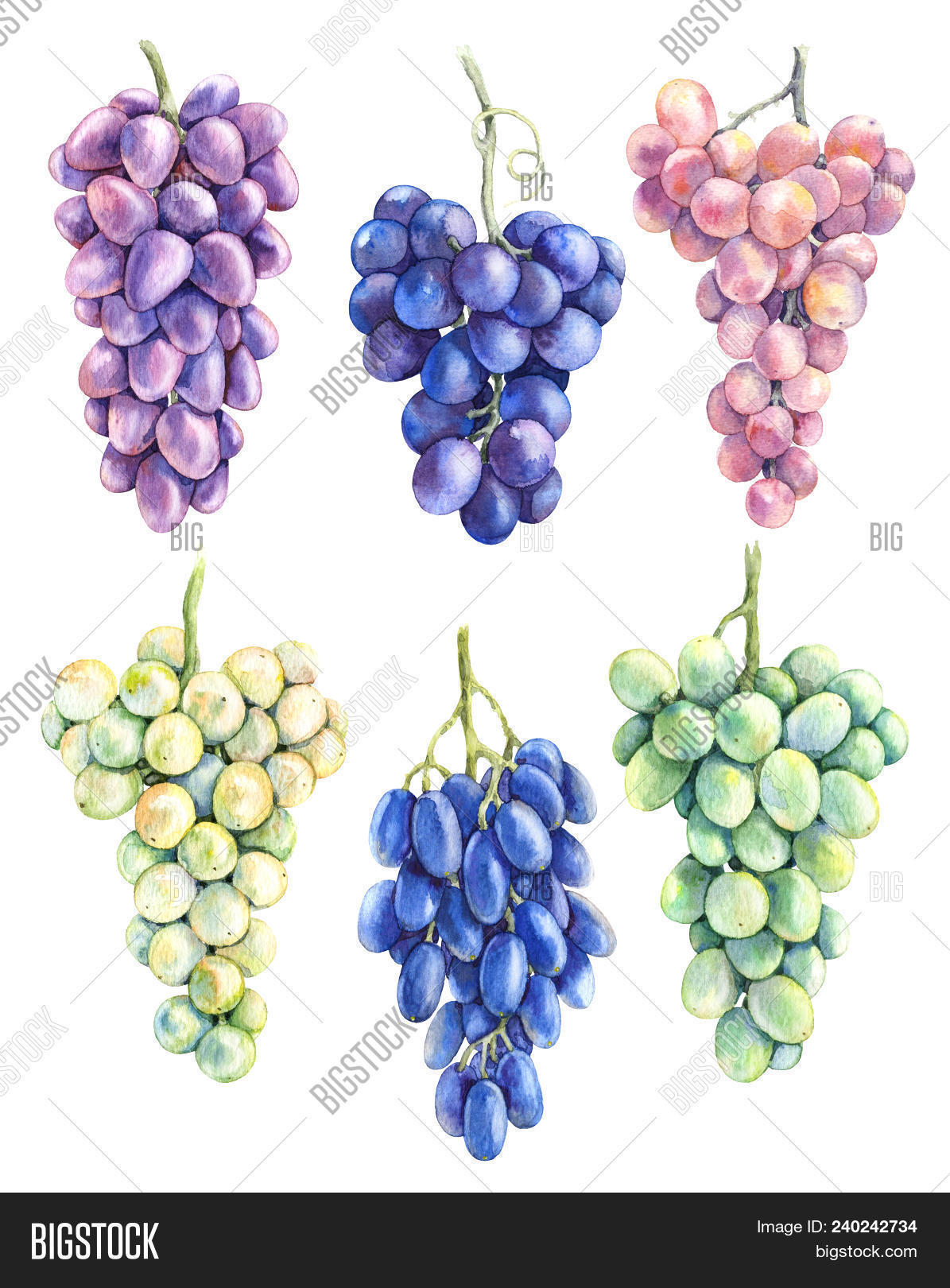 Watercolor Painting. Image & Photo (Free Trial) | Bigstock