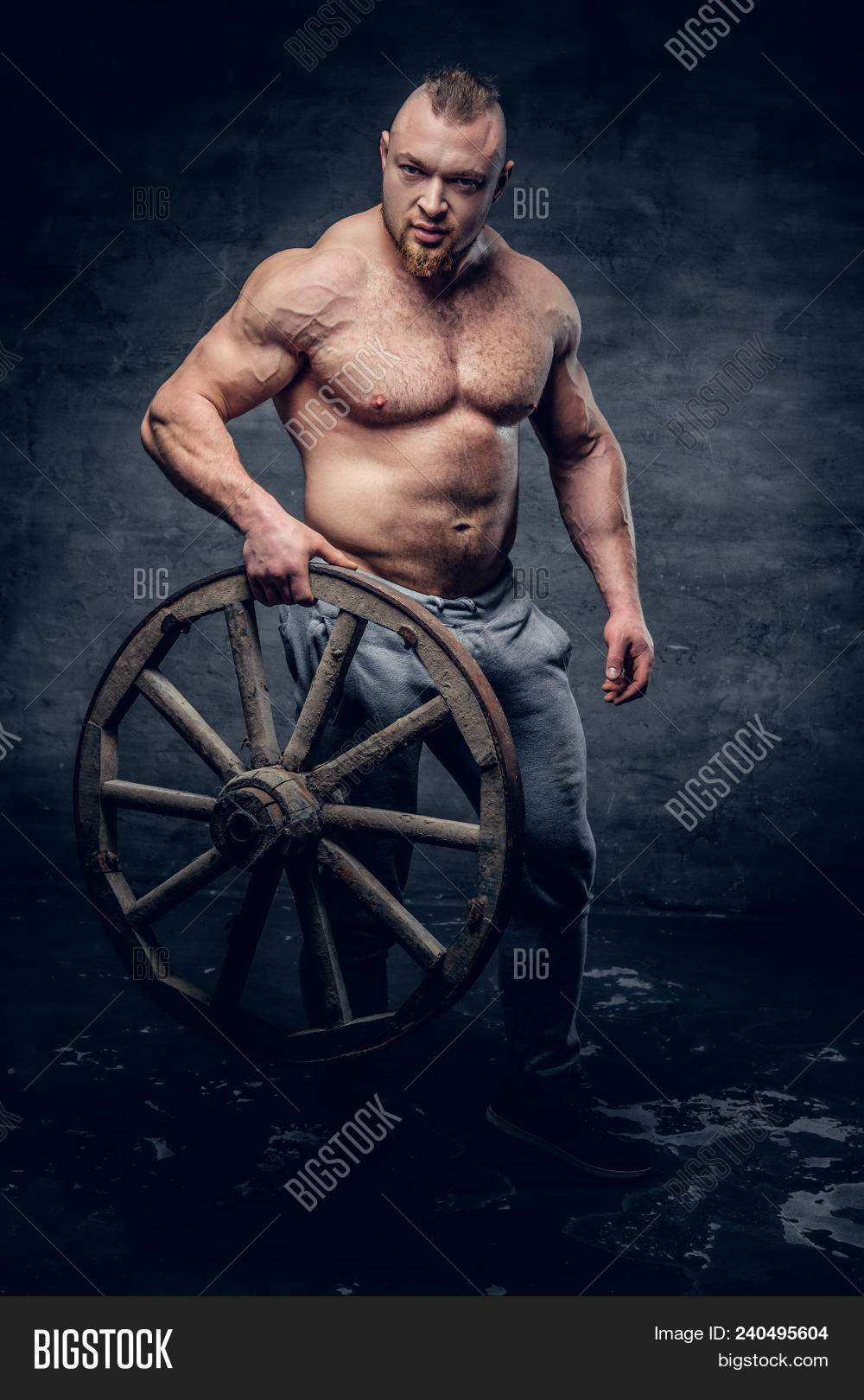 Studio Portrait Hunk Image & Photo (Free Trial) | Bigstock
