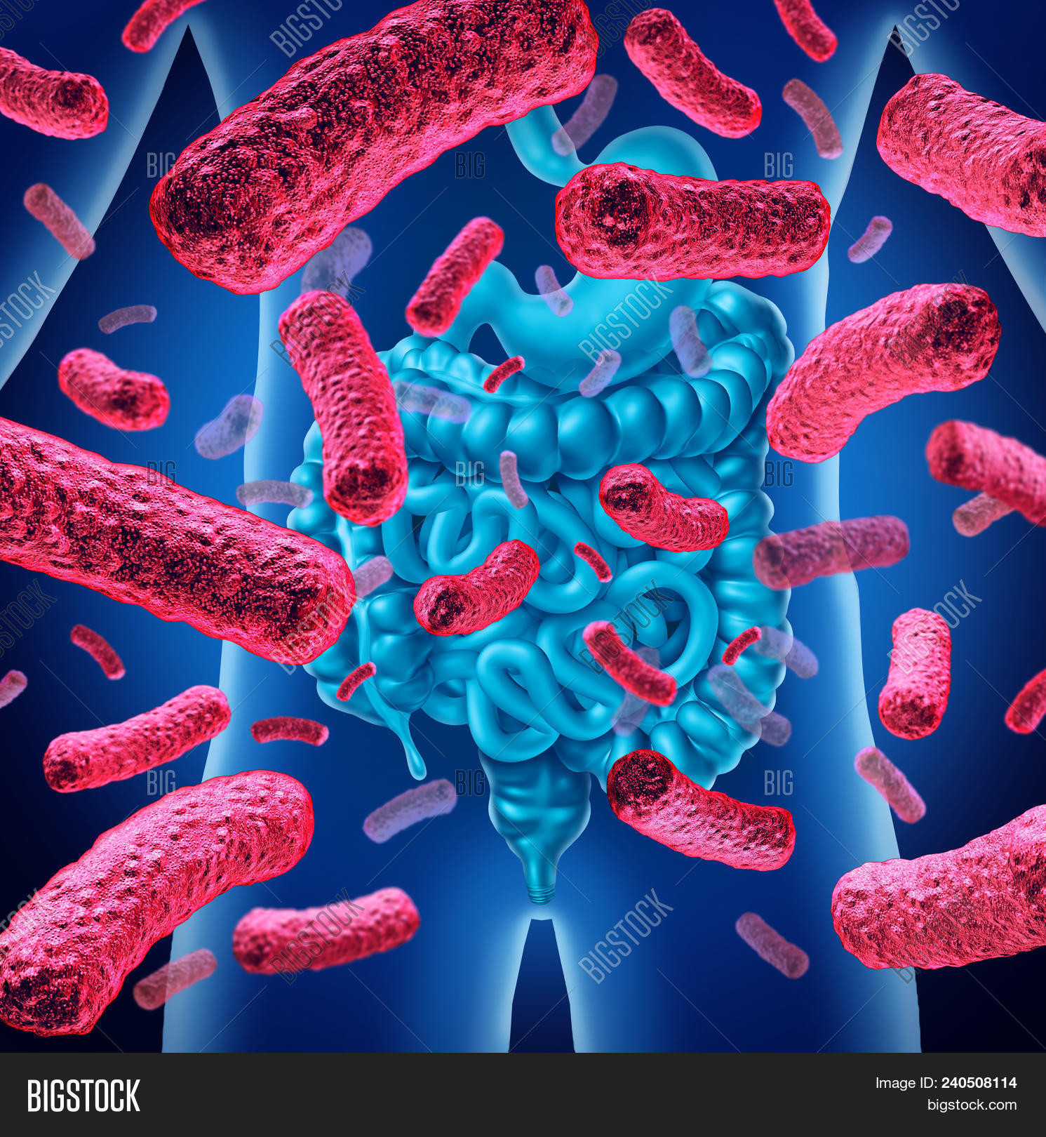 Intestine Bacteria Gut Image & Photo (Free Trial) | Bigstock
