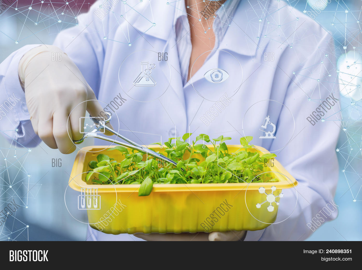 Biotechnologist Works Image & Photo (Free Trial) | Bigstock