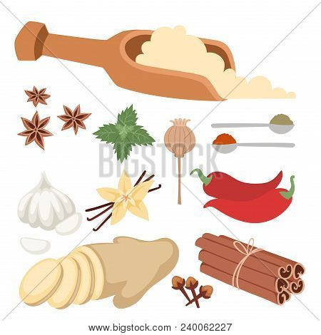 Spices Condiments Vector & Photo (Free Trial) | Bigstock