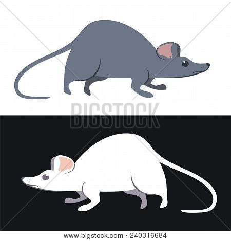 Grey White Mice. Flat Vector & Photo (Free Trial) | Bigstock