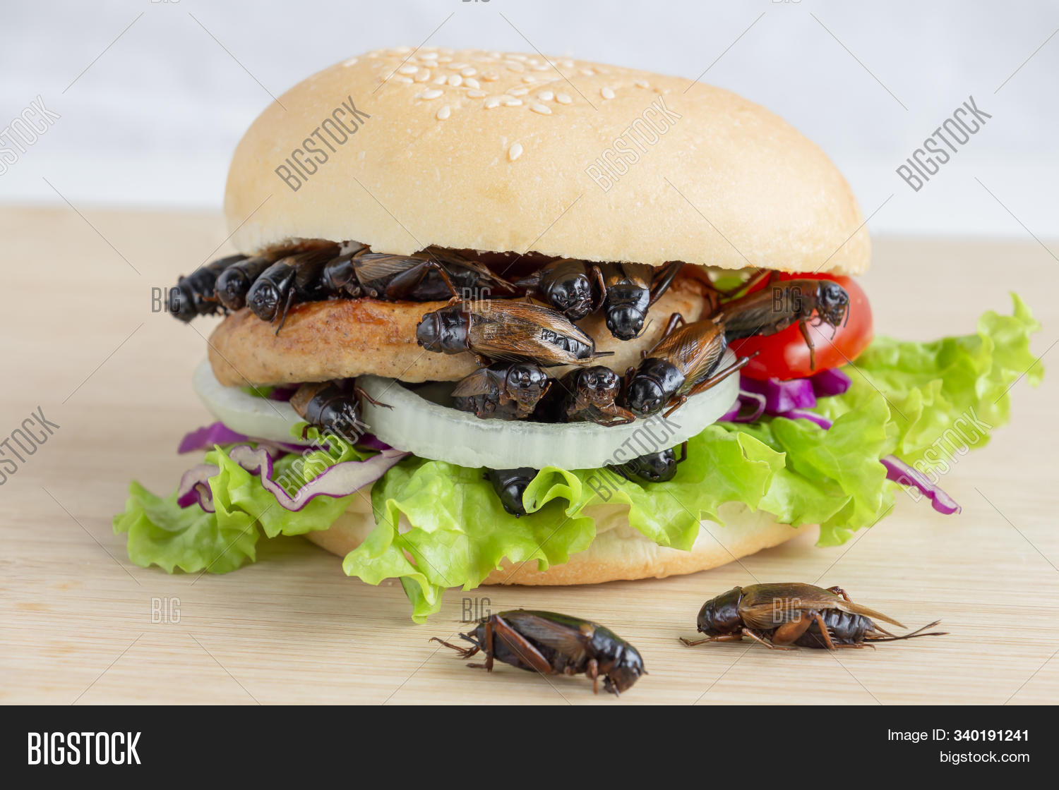 Crickets Insect Eating Image & Photo (Free Trial) | Bigstock