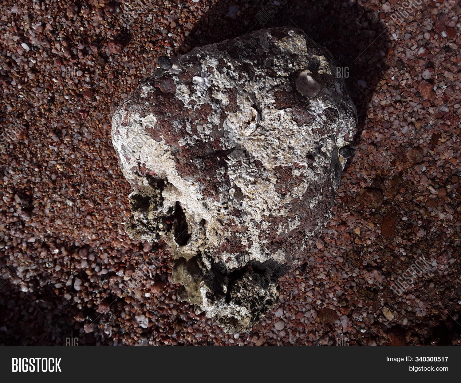 Stone Texture Red Sea Image & Photo (Free Trial) | Bigstock