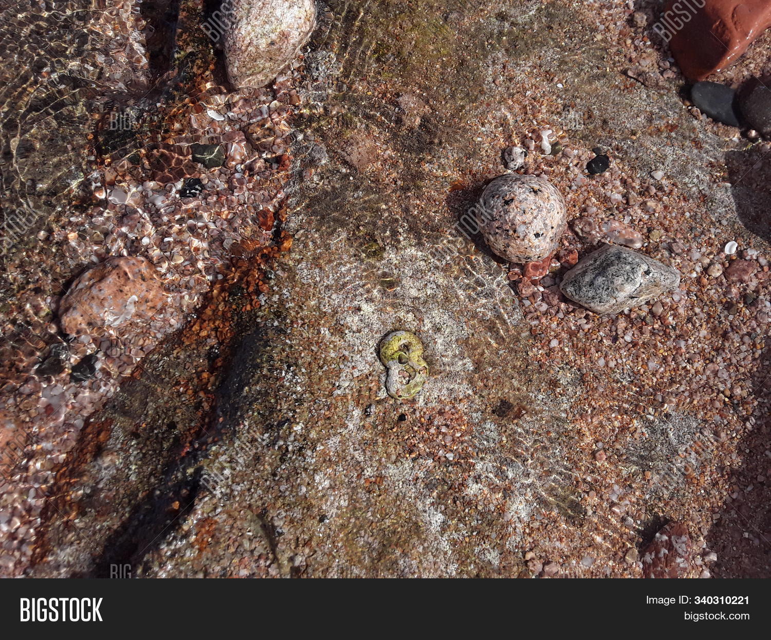 Stone Texture Red Sea Image & Photo (Free Trial) | Bigstock