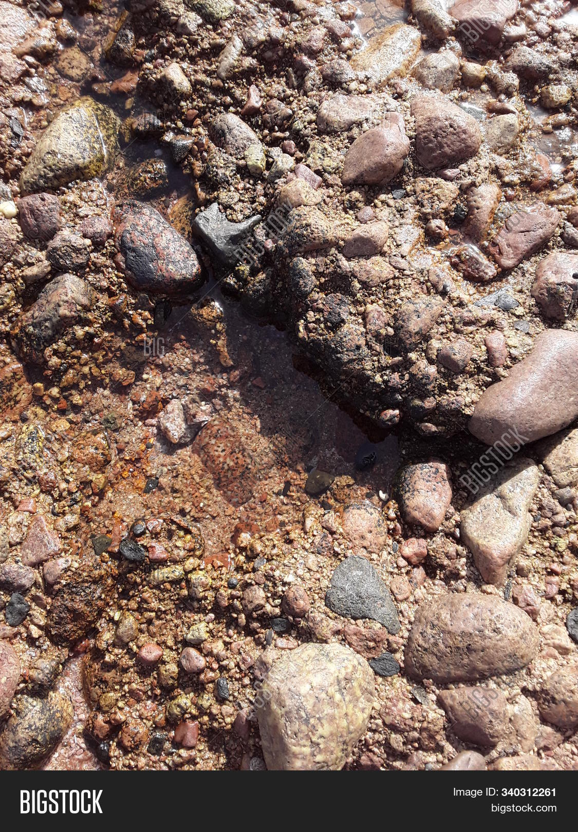 Stone Texture Red Sea Image & Photo (Free Trial) | Bigstock