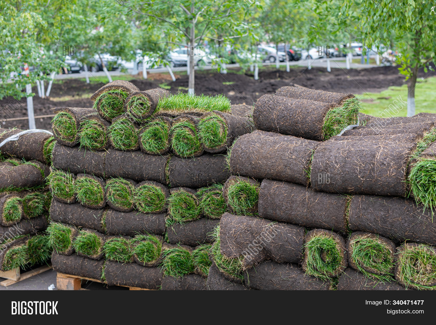 Pieces Sod Covering Image & Photo (Free Trial) | Bigstock