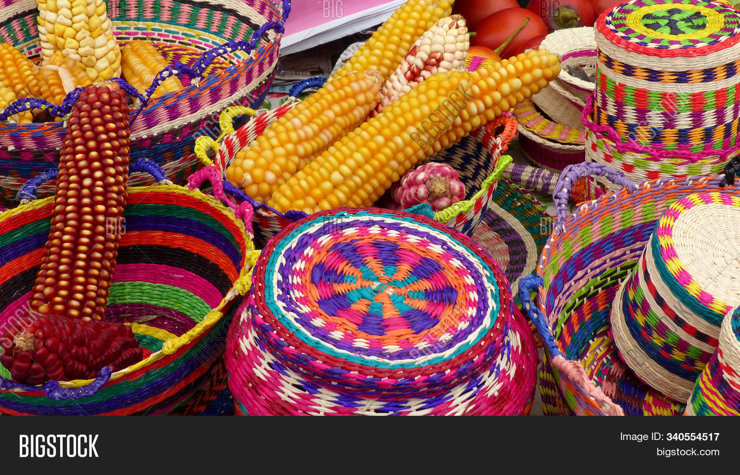 Colorful Cubs Corn - Image & Photo (Free Trial) | Bigstock