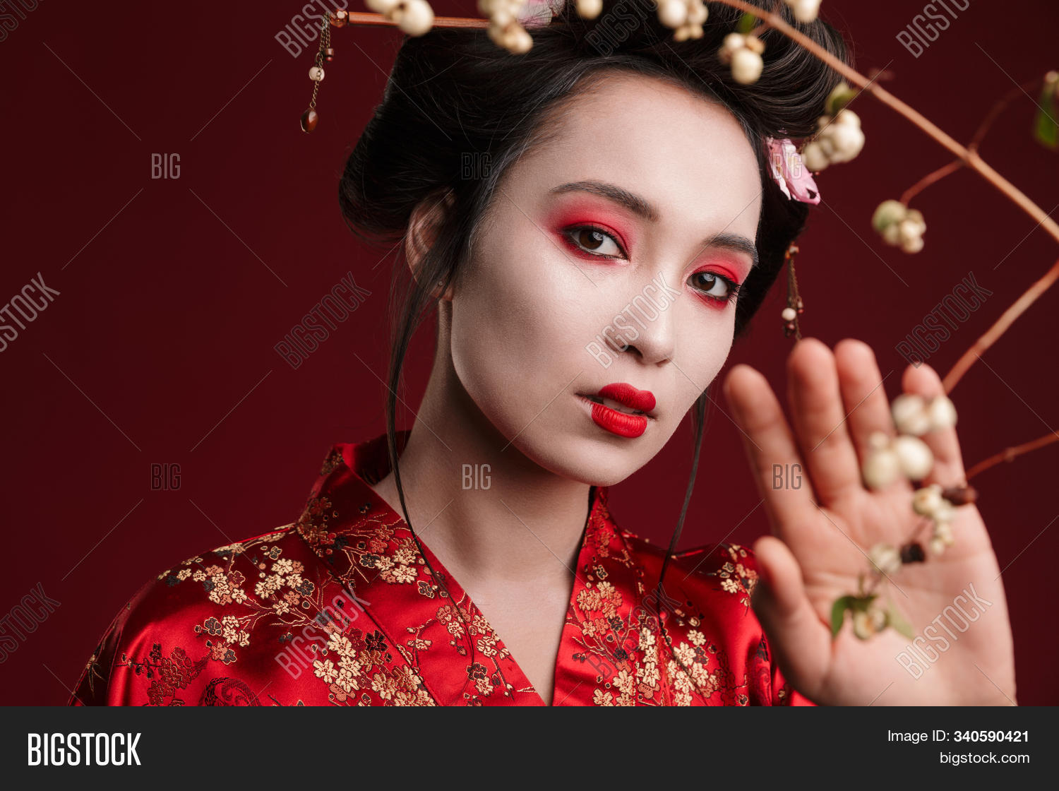 Image Charming Geisha Image & Photo (Free Trial) | Bigstock