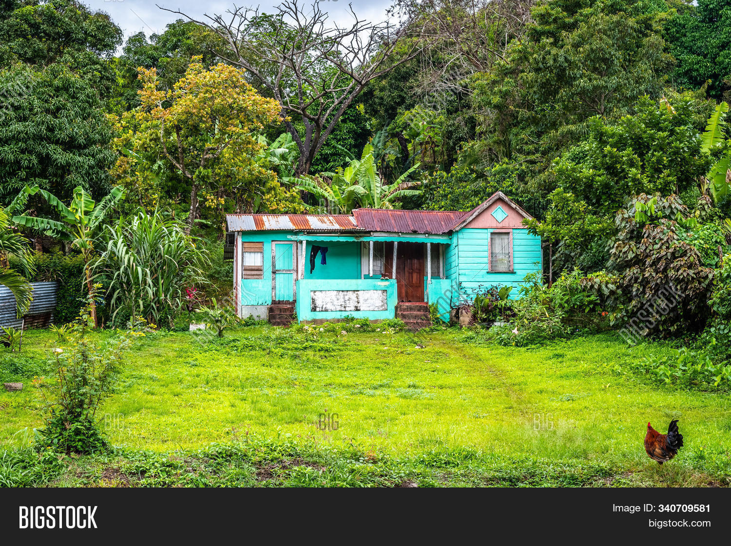 Modest Old Country Image & Photo (Free Trial) | Bigstock