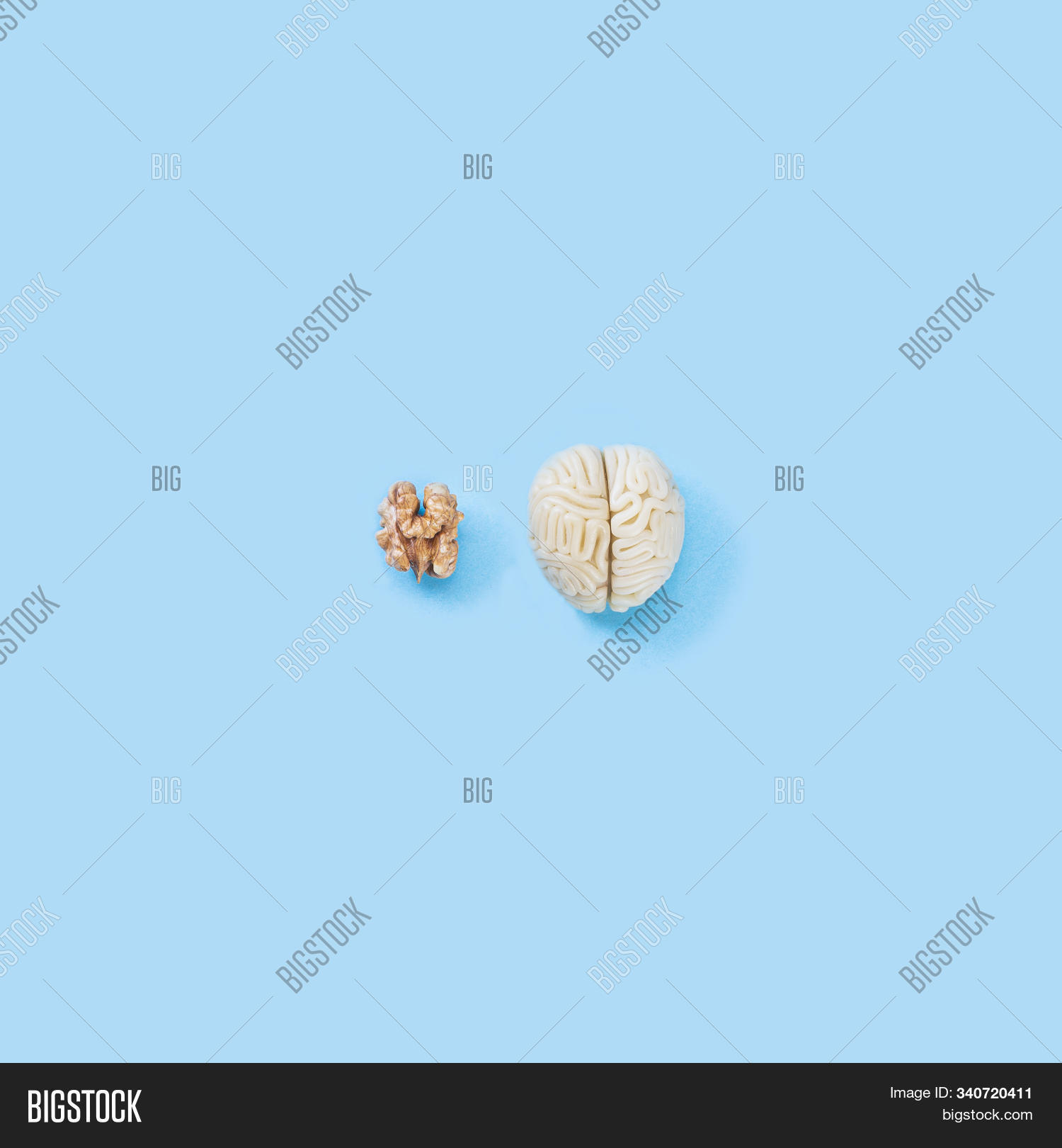 Walnut Brain Mock On Image & Photo (Free Trial) | Bigstock