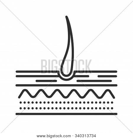 Structure Skin Line Vector & Photo (Free Trial) | Bigstock