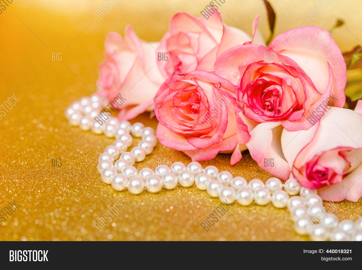 Pink Rose Pearl Image & Photo (Free Trial) | Bigstock