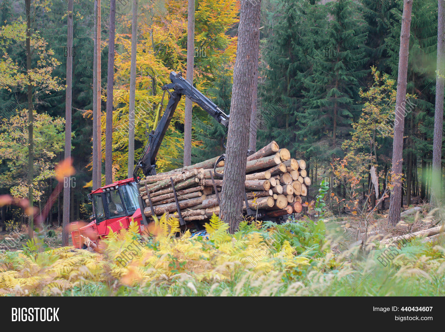 Forest Vehicle Forest Image & Photo (Free Trial) | Bigstock
