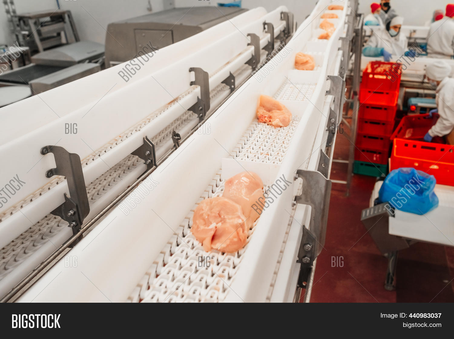 Conveyor Belt Food. Image & Photo (Free Trial) | Bigstock