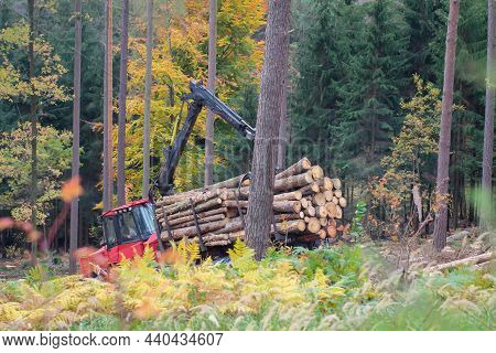Forest Vehicle Forest Image & Photo (Free Trial) | Bigstock
