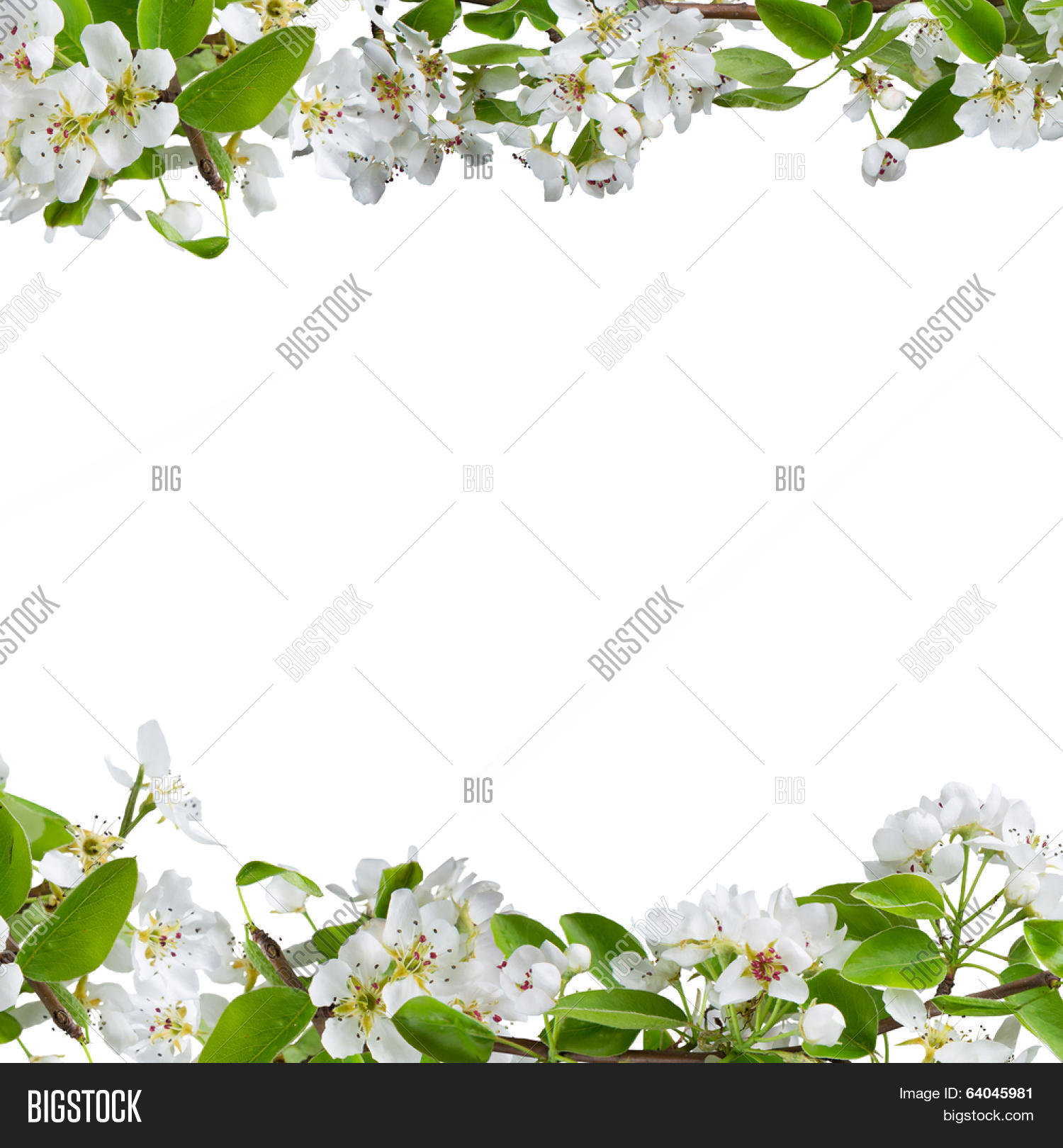 Spring Border Image & Photo (Free Trial) | Bigstock