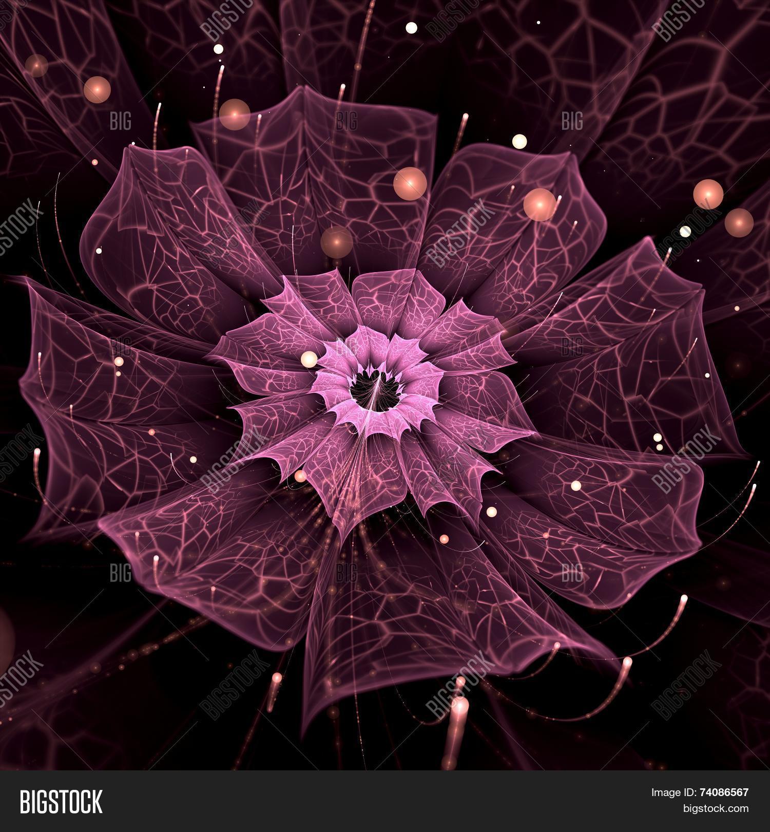 Violet Fractal Flower Image & Photo (Free Trial) | Bigstock