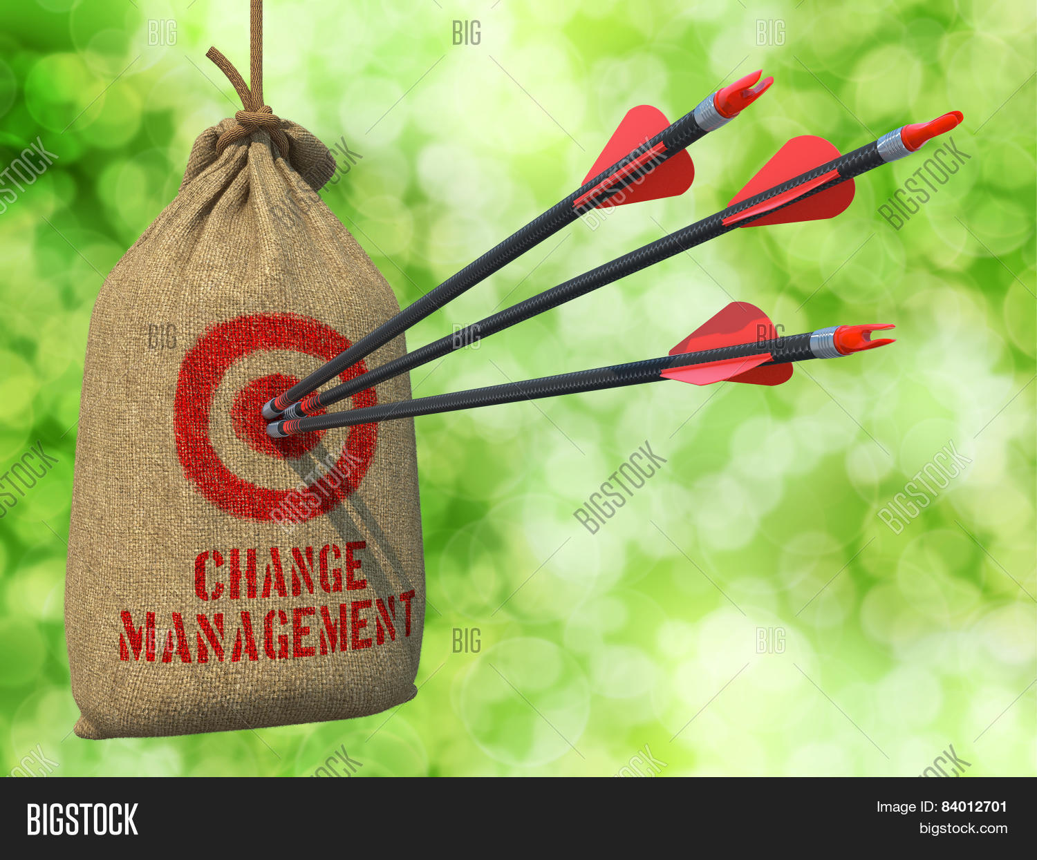 Change Management - Image & Photo (Free Trial) | Bigstock