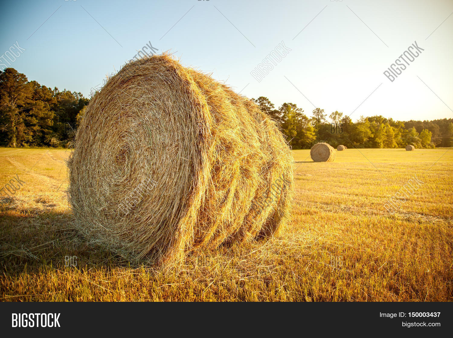 Stacks Straw - Bales Image & Photo (Free Trial) | Bigstock