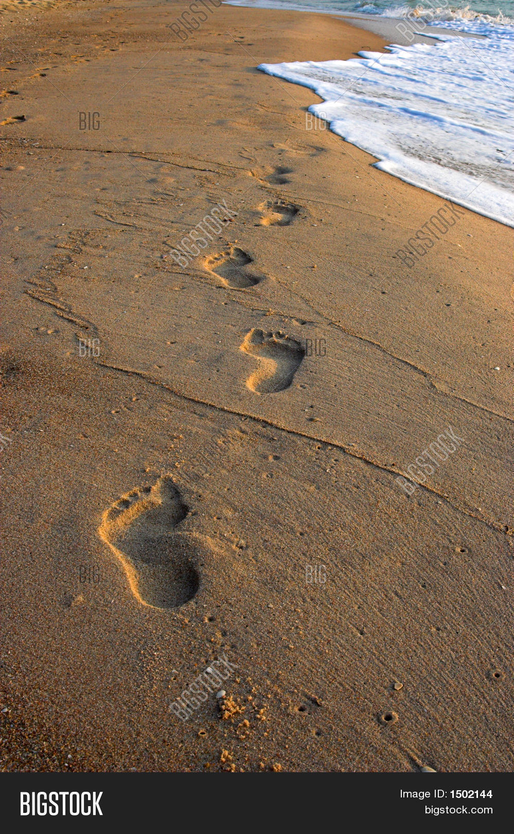 Footprints Sand Image & Photo (Free Trial) | Bigstock