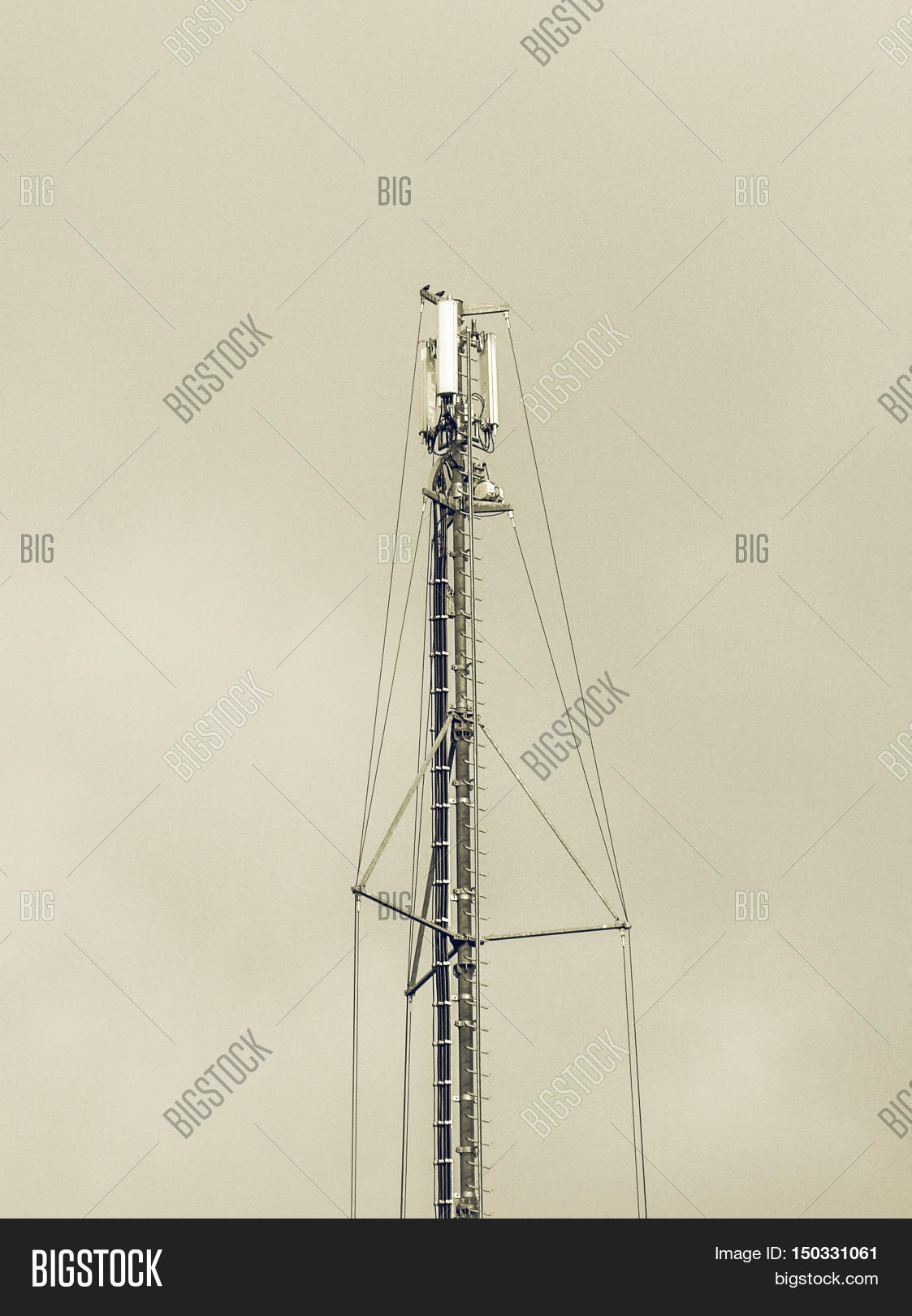 Vintage Looking Image & Photo (Free Trial) | Bigstock