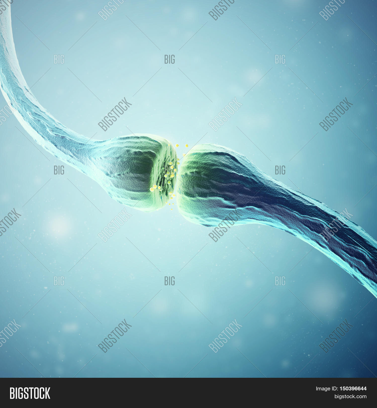 Synapse Neuron Cells Image & Photo (Free Trial) | Bigstock
