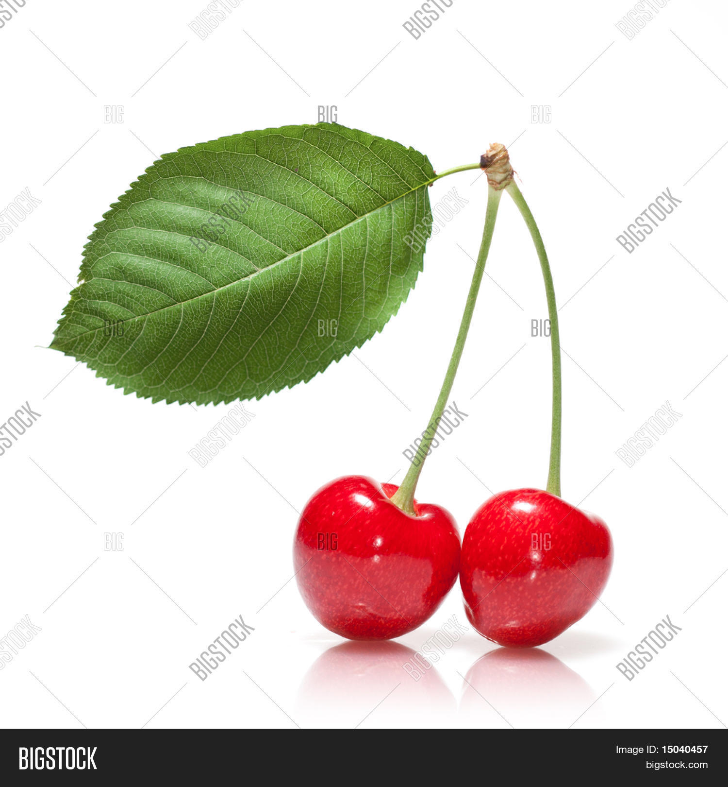 Red Cherry Leaf Image & Photo (Free Trial) | Bigstock