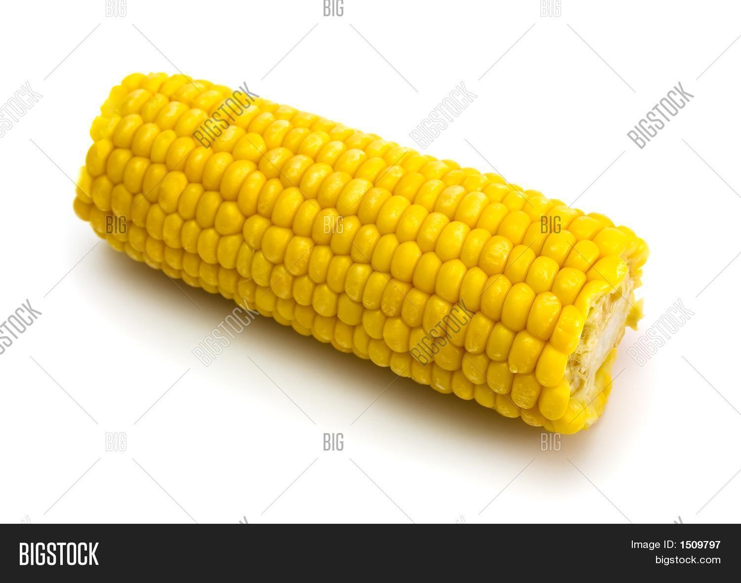 Sweet Corn Cob Image & Photo (Free Trial) | Bigstock