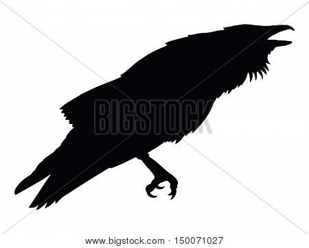 Stylized Crows. Vector & Photo (Free Trial) | Bigstock