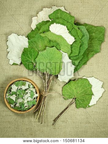 Coltsfoot Foalfoot. Image & Photo (Free Trial) | Bigstock